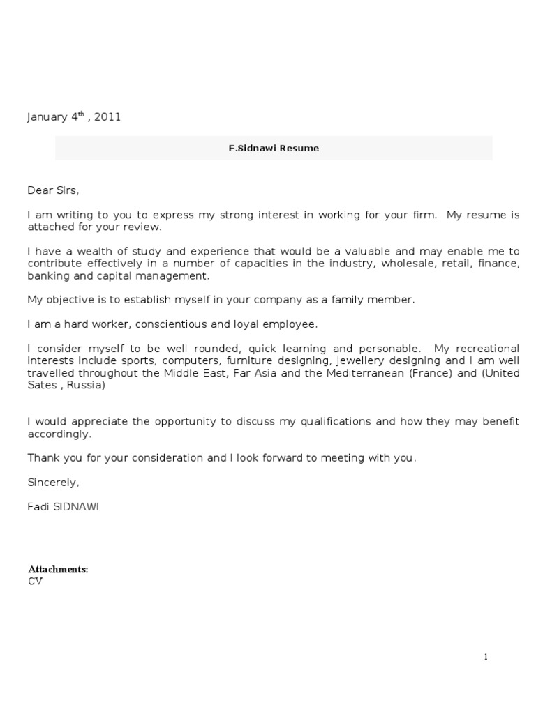 Fadi CV | PDF | Syria | Microsoft