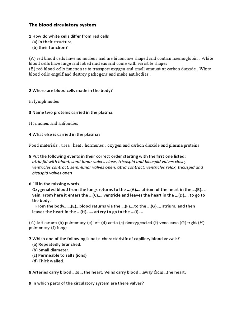 Blood Circulation Questions | PDF | Atrium (Heart) | Blood