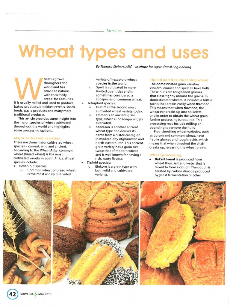 Wheat Types and Uses | PDF