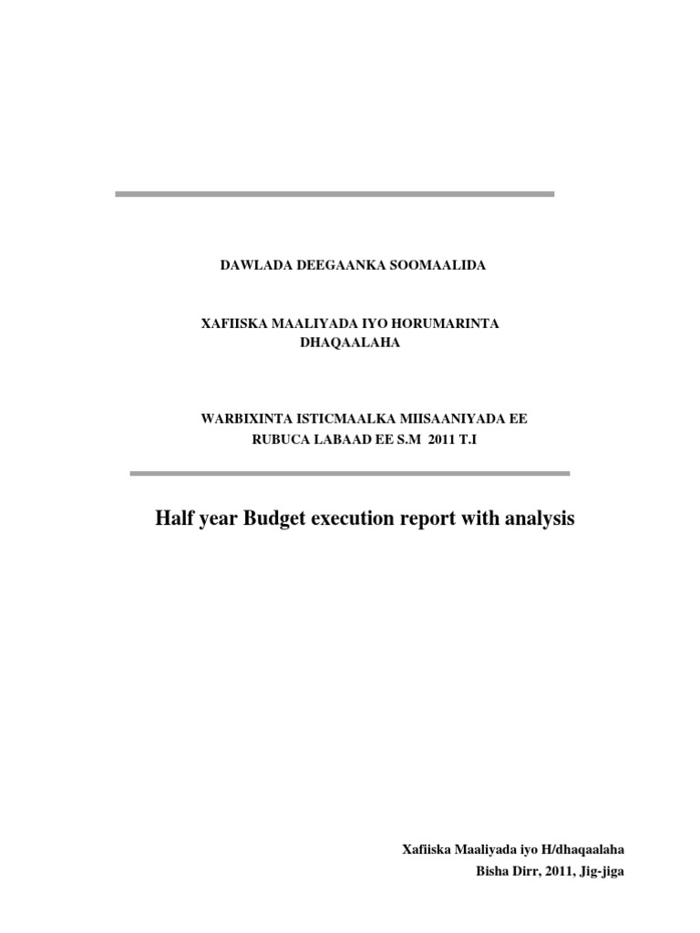 Half Year Budget Execution Report Analysis Final Document | PDF
