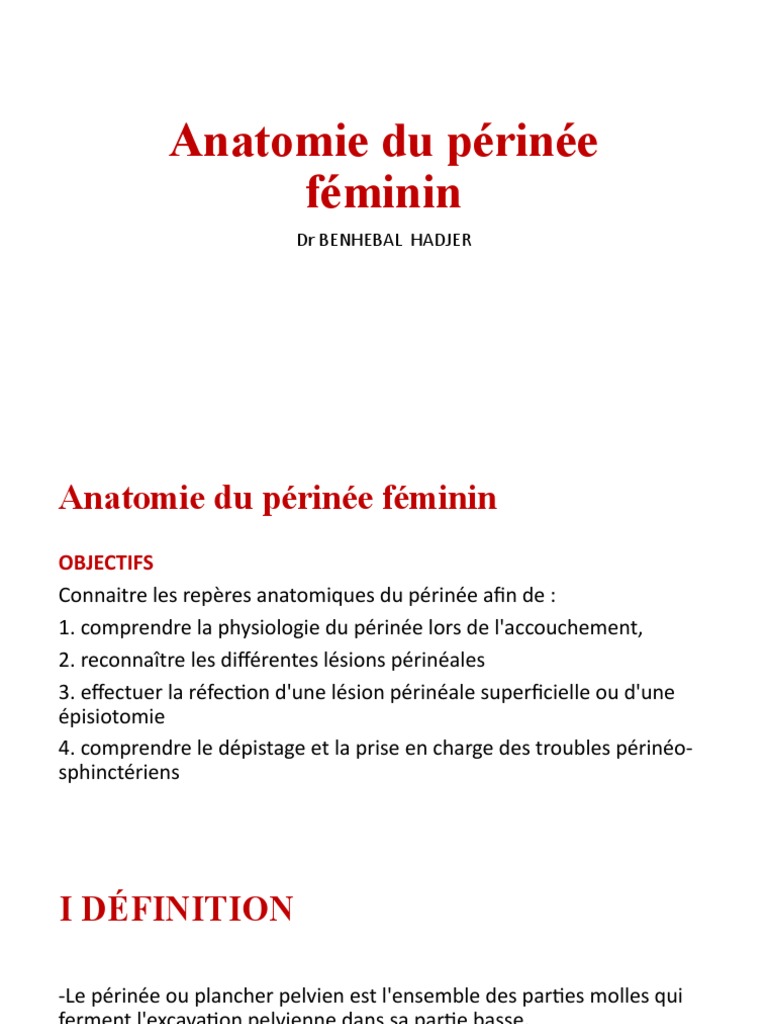 Anatomie et Fonction du Périnée Féminin | PDF | Anatomie | Bassin ...