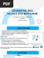 Anatomía de los rotadores externos del hombro | PDF | Hombro | Articulación