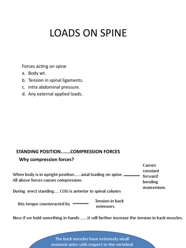 Spinal Load Dynamics for Athletes | PDF | Vertebral Column | Anatomical ...