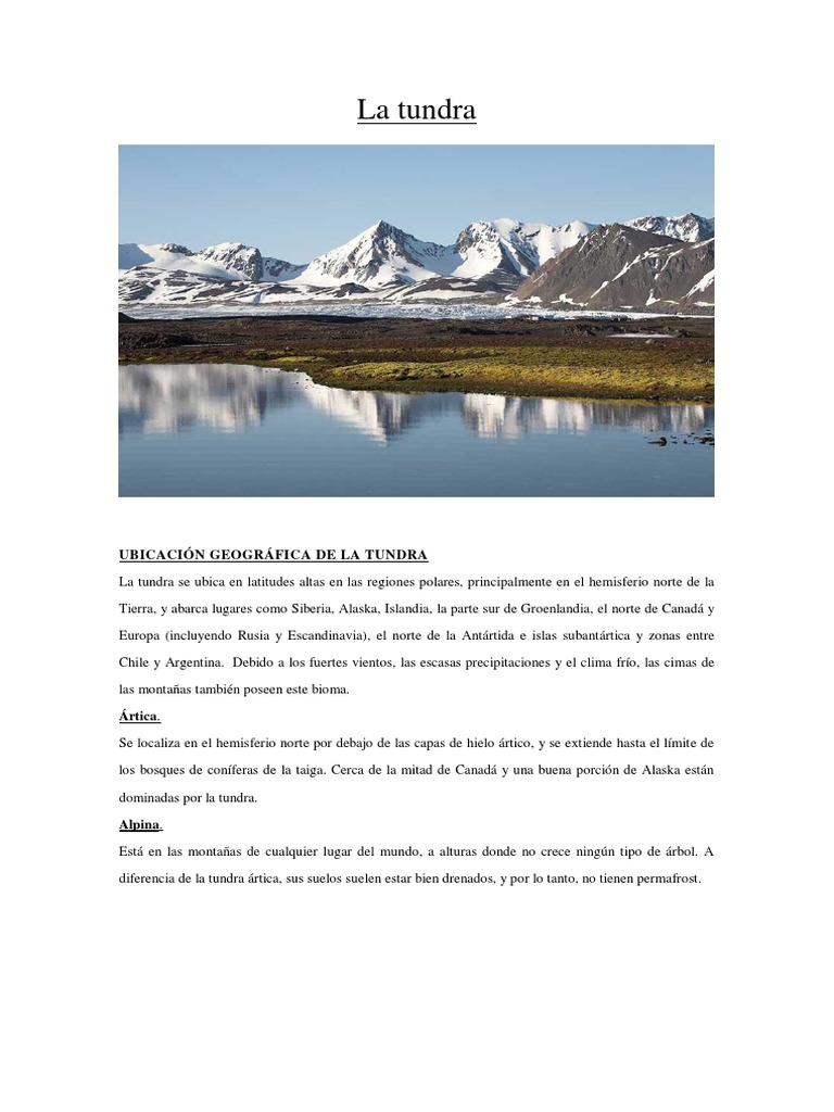 La Tundra | PDF | Geografía Física | Entorno natural