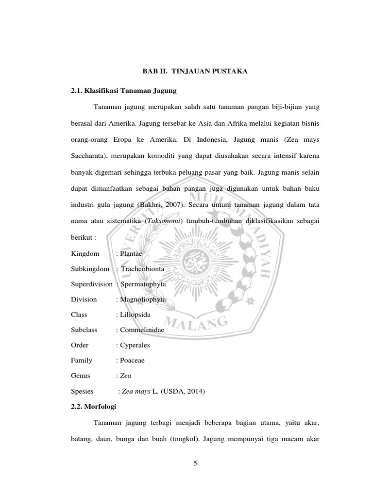 Skripsi Bab Ii | PDF