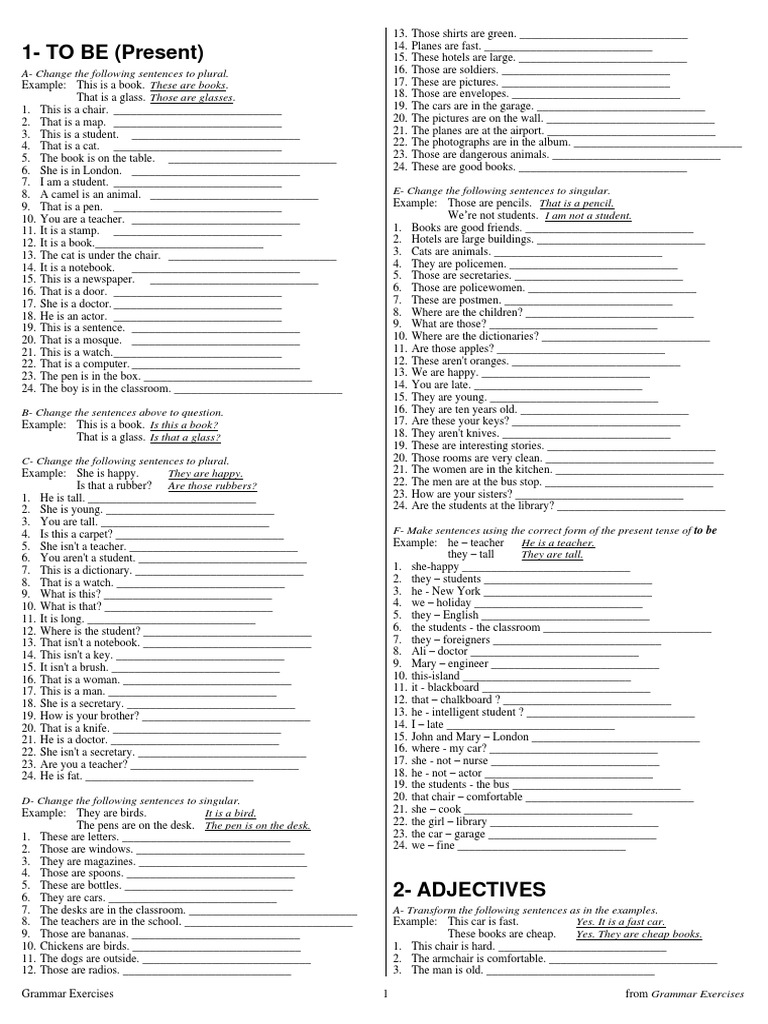 Grammar Exercise | PDF | Lunch | English Language