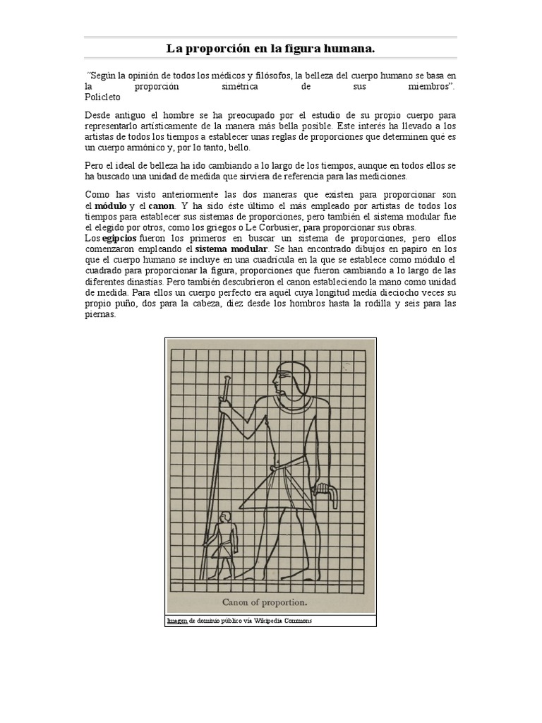 La Proporción De La Figura Humana Pdf Longitud Factores Humanos Y