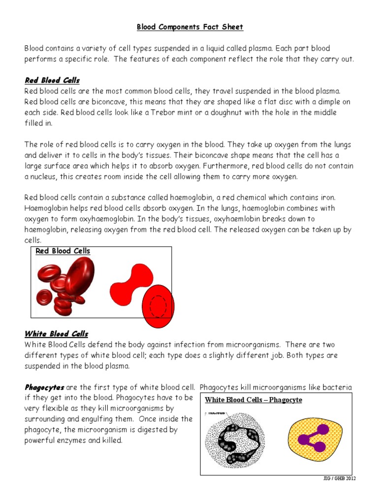 Blood Components and Their Functions | PDF | Blood | Blood Cell