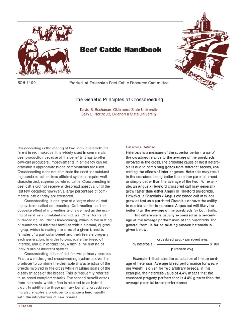Genetic Principles Crossbreeding | PDF | Dominance (Genetics) | Zygosity