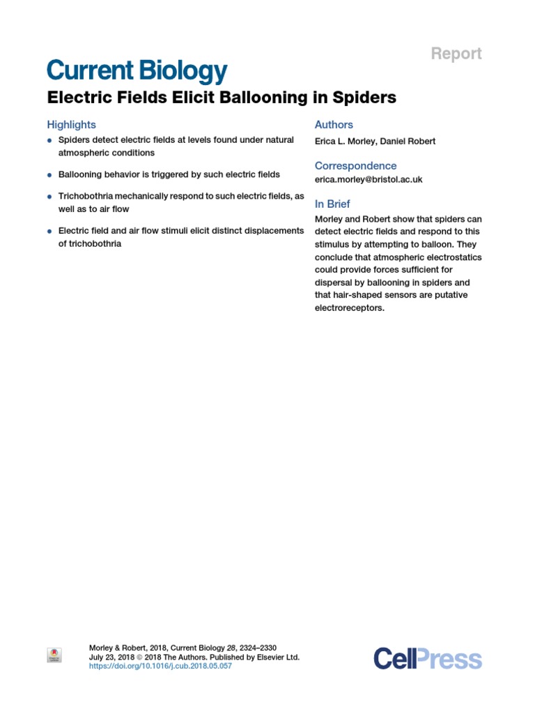 Electric Fields Trigger Spider Ballooning | PDF | Electric Field ...