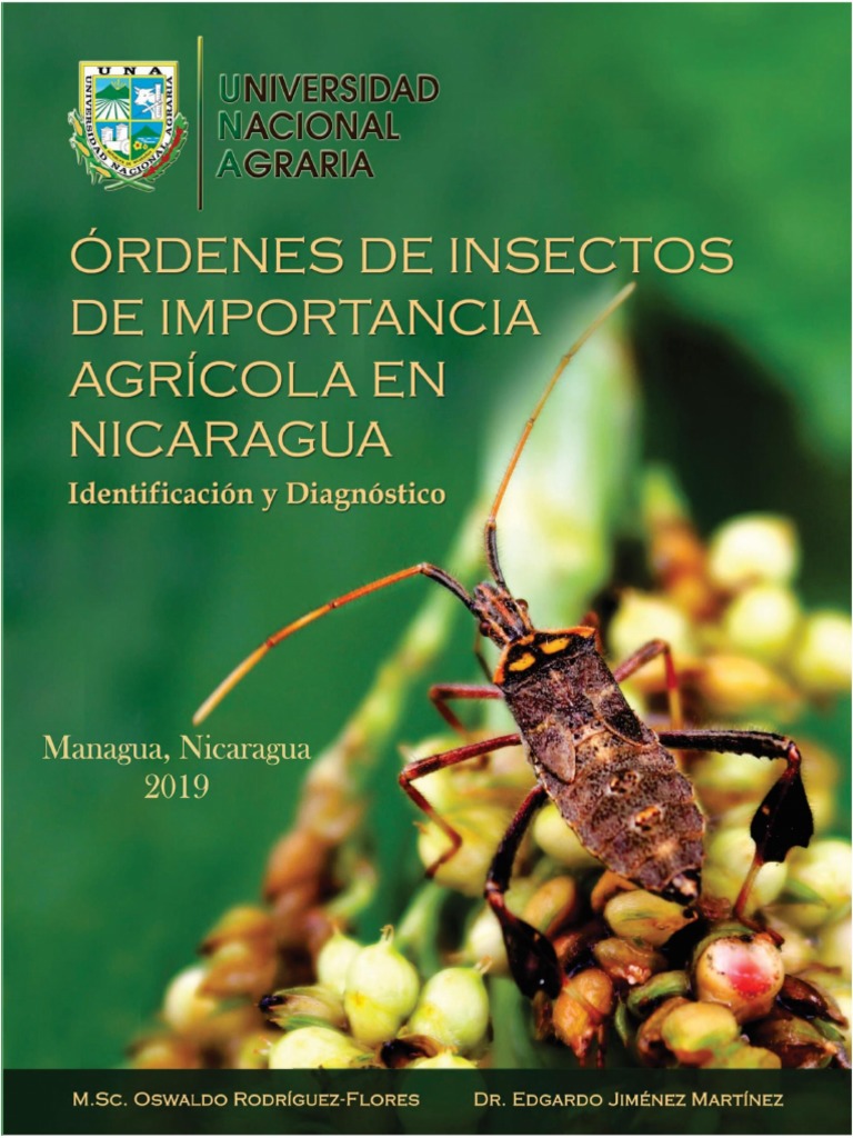 Ordenes de Insectos de Importancia Agricola | PDF | Insectos | Mosca