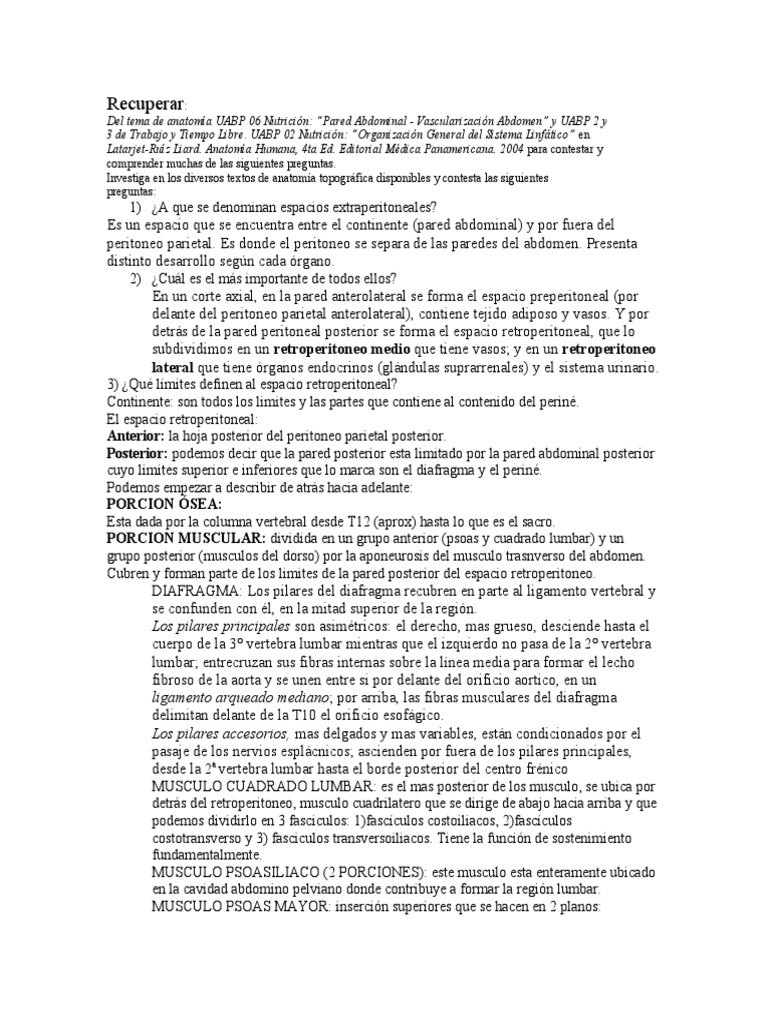 Anatomía del Espacio Retroperitoneal | PDF | Abdomen | Anatomía