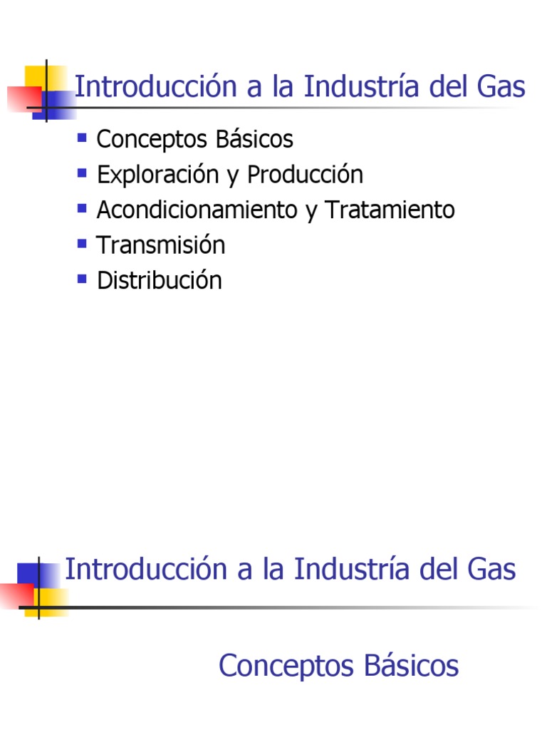 GAS - Conceptos Básicos | PDF | Gas natural | Hidrocarburos