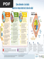 Dieta para La Tuberculosis Listo Este Es | PDF | Dieta | Alimentos