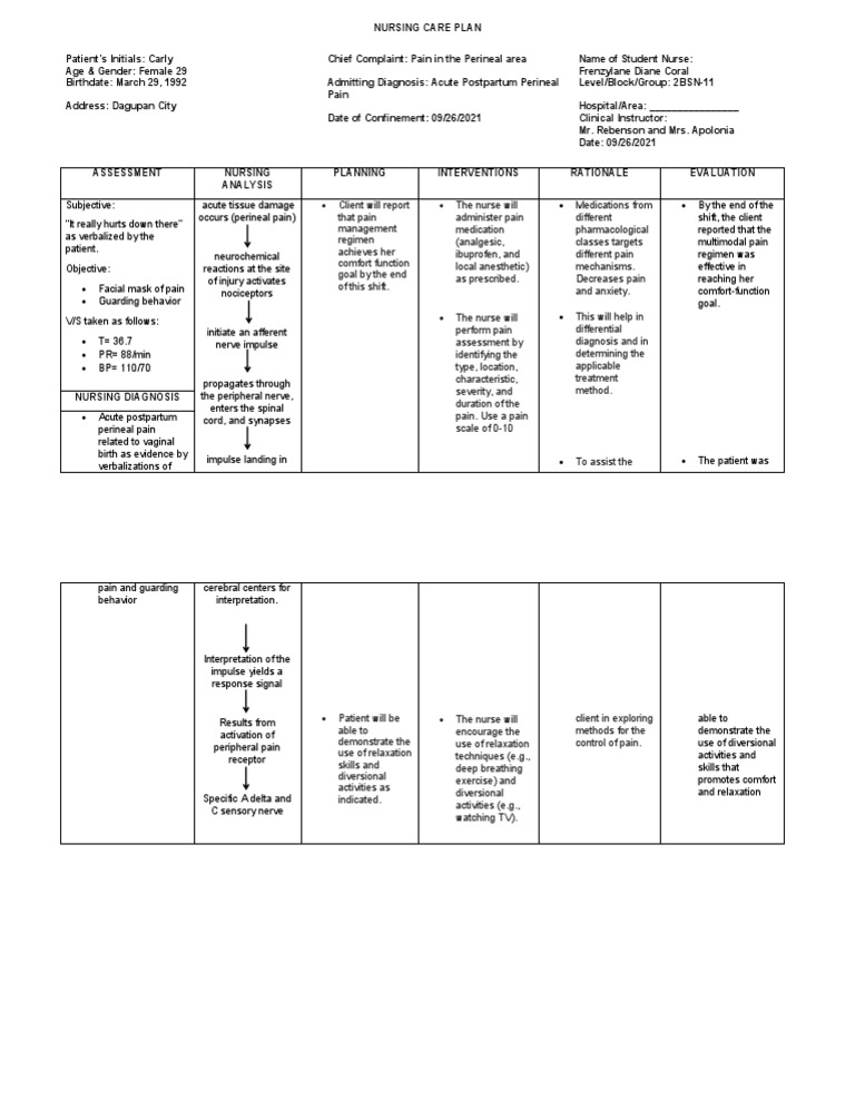 NCP-Acute Postpartum Perineal Pain | PDF | Pain | Diseases And Disorders