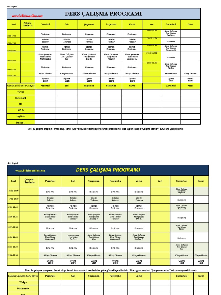 Sinif Lgs Ders Calisma Plani | PDF