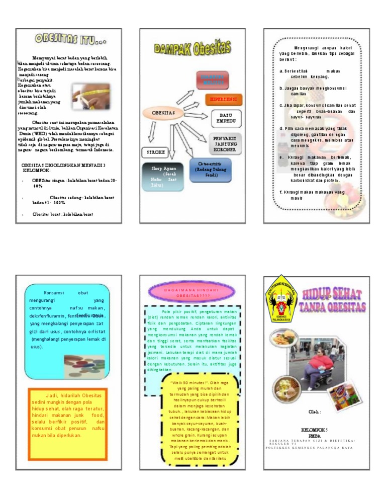 Leaflet Remaja Obesitas | PDF