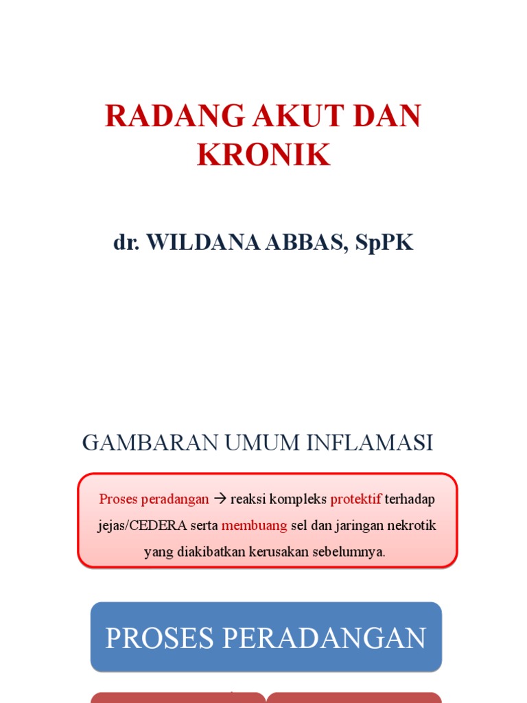 Radang Akut Dan Kronik | PDF