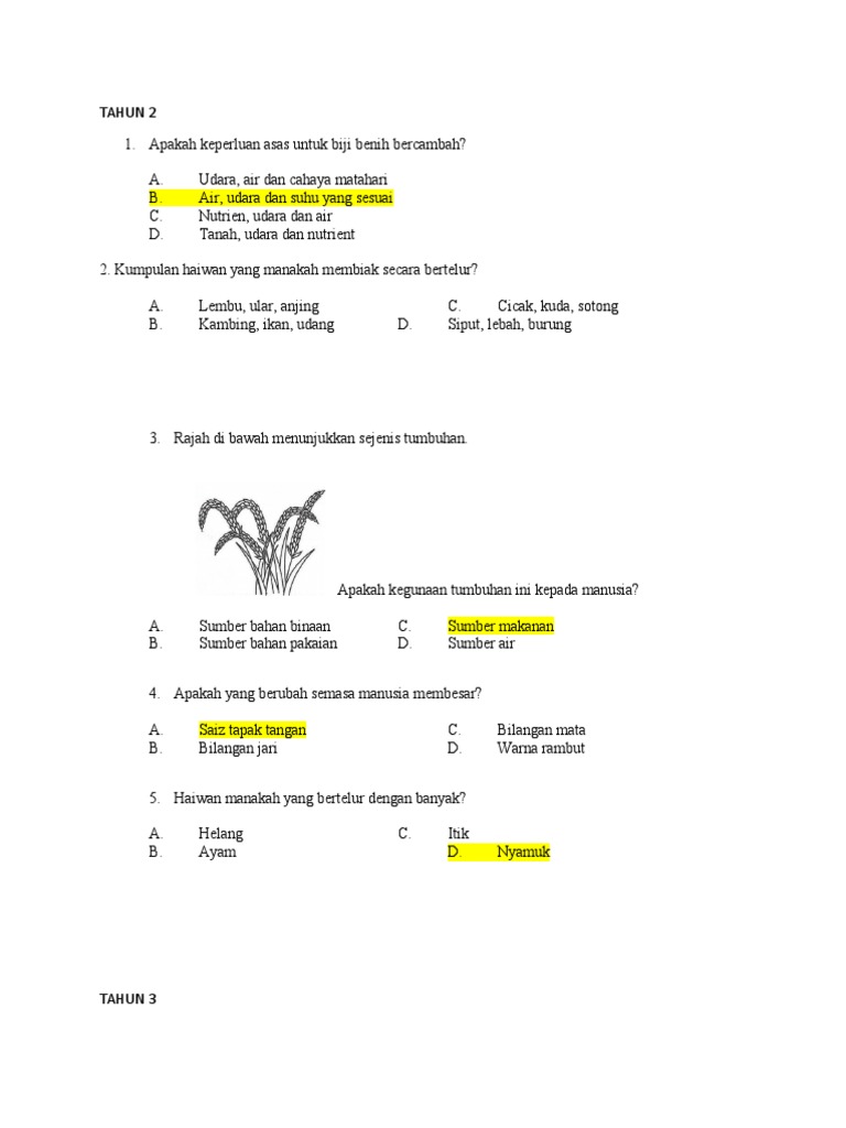 Soalan Kuiz Tahap 1 | PDF