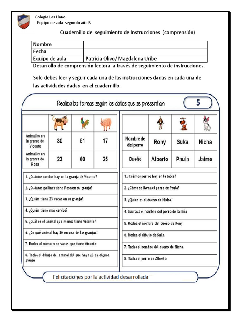 Cuadernillo de Seguimiento de Instrucciones | PDF