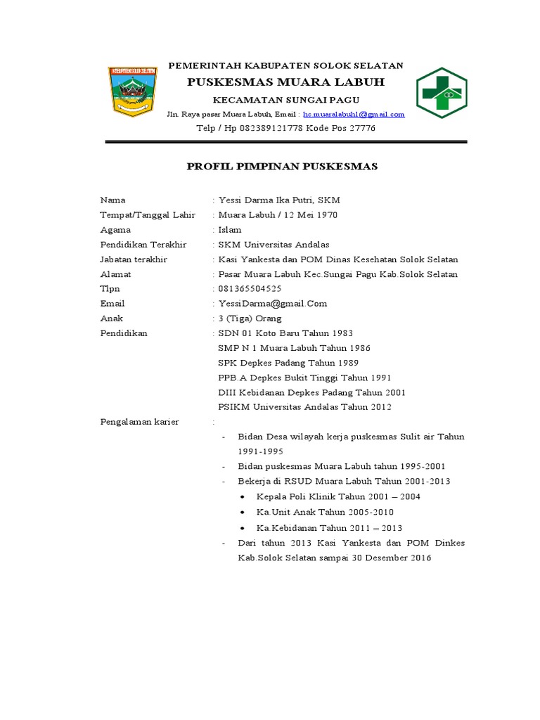 Profil Pimpinan Puskesmas | PDF