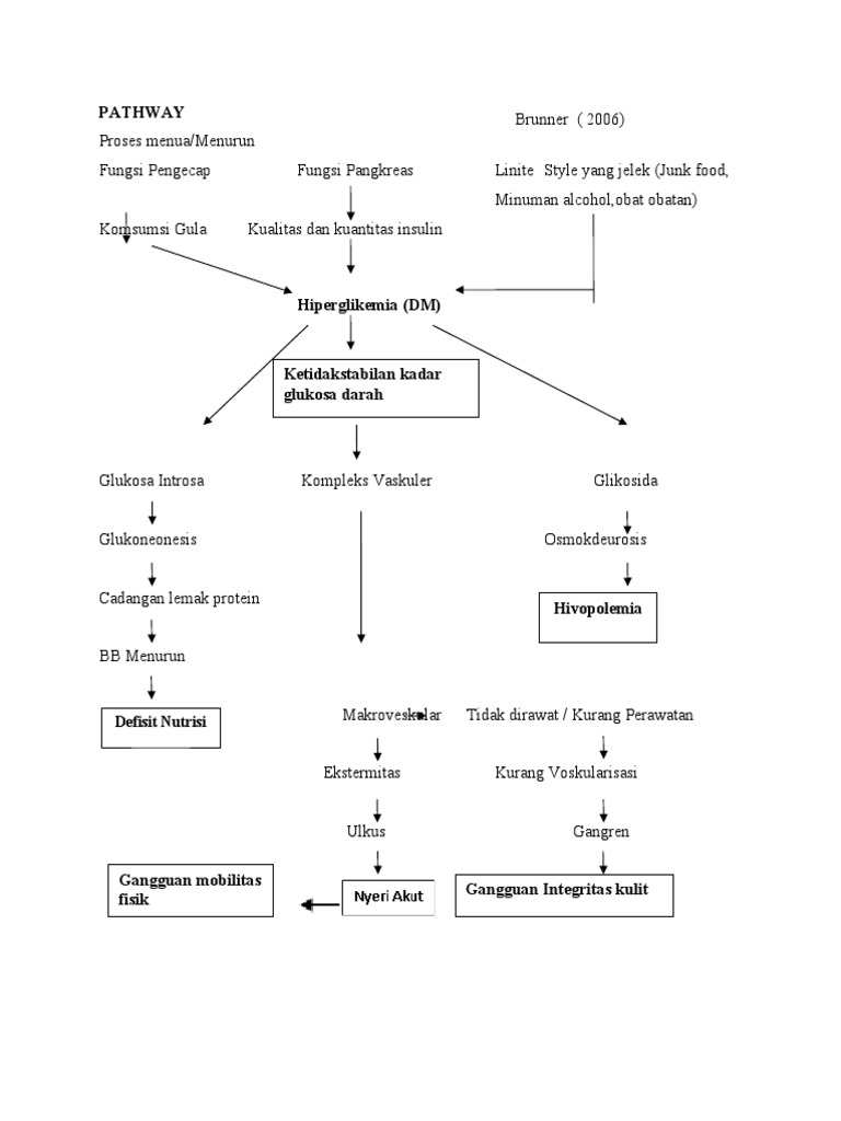 Pathway DM Tipe 2 | PDF