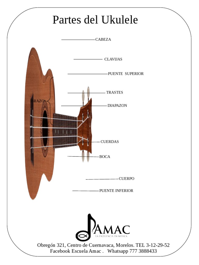 Partes Del Ukulele | PDF