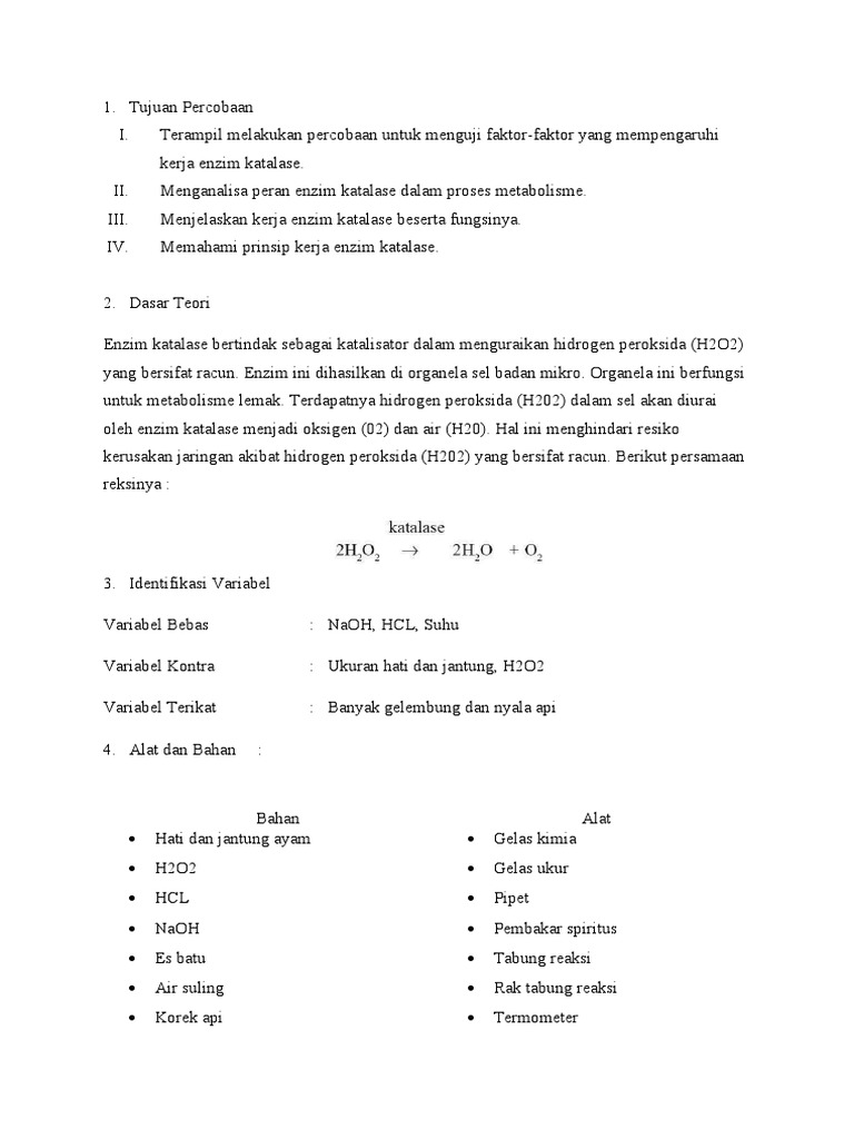 Enzim Katalase | PDF