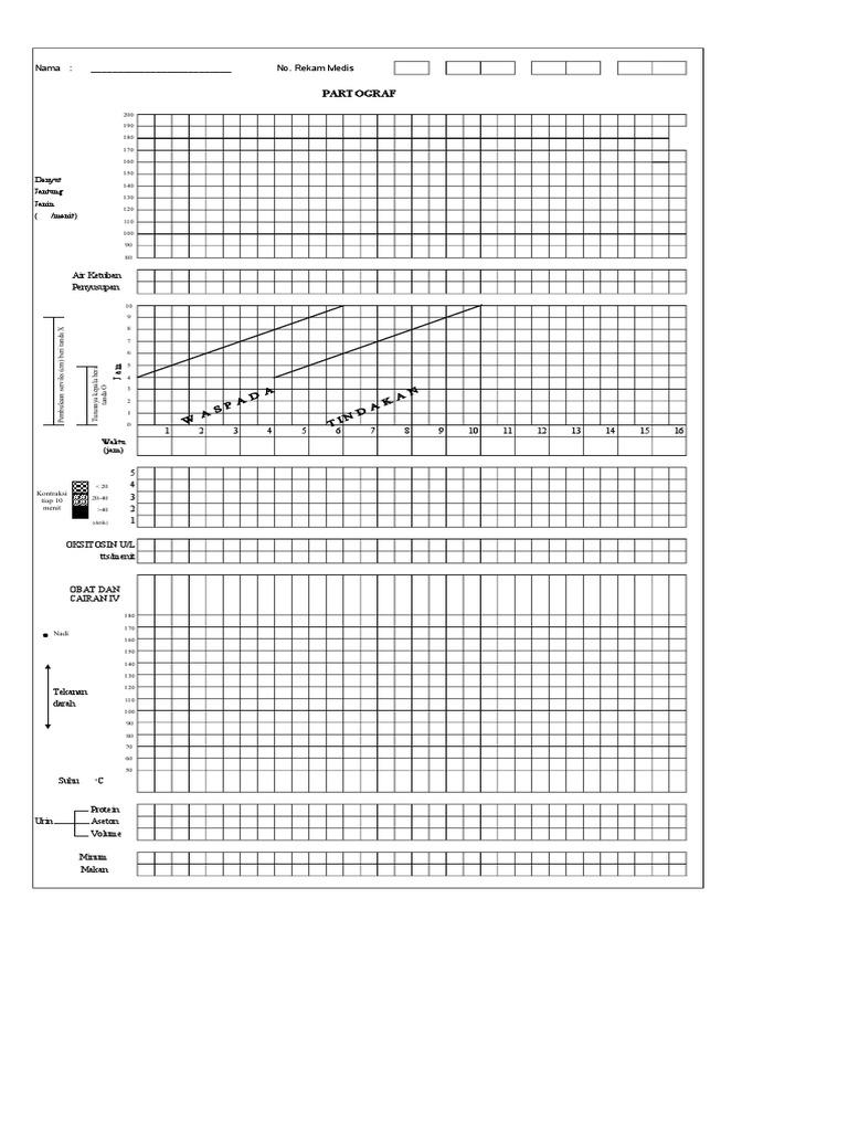 Patograf | PDF