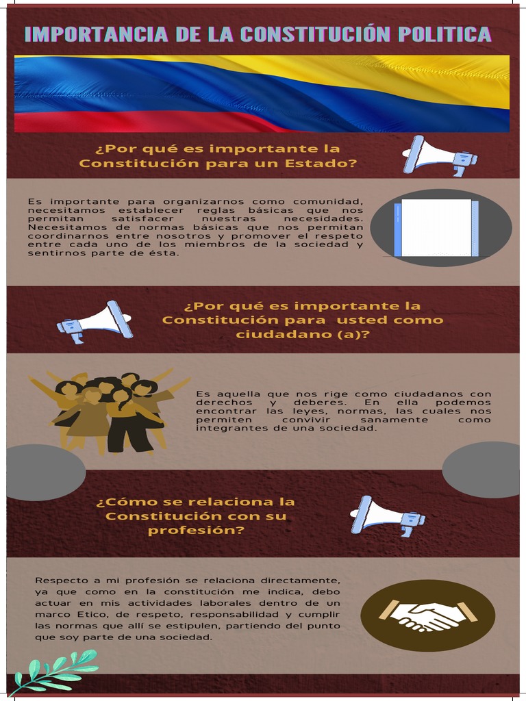 Infografía Constitución Política Pdf