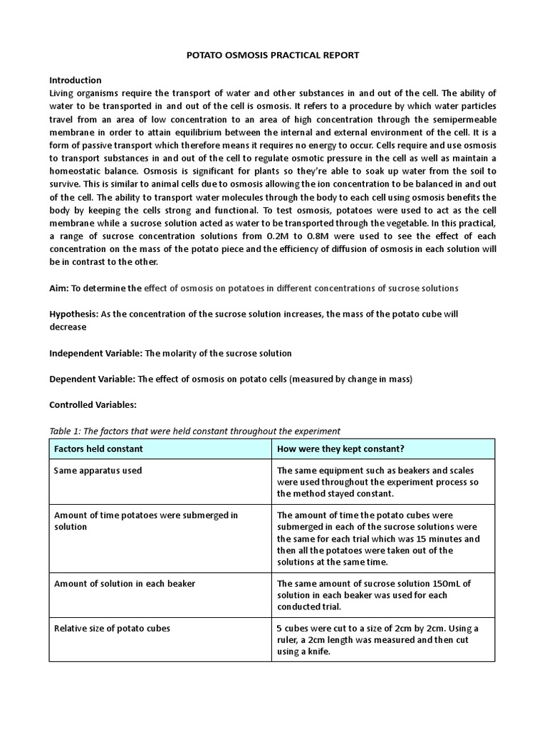 Osmosis in Sucrose Solution | PDF | Osmosis | Chemistry