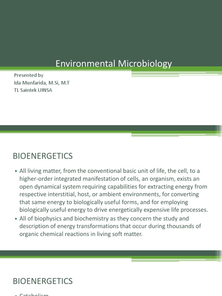 Environmental Microbiology Explained | PDF | Metabolism | Nicotinamide ...