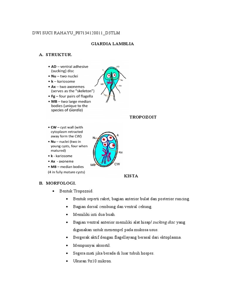 Parasit | PDF | Sains & Matematika