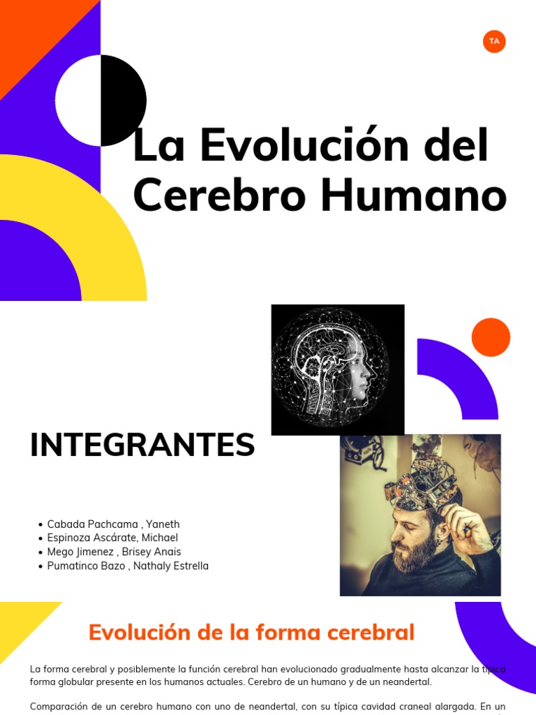La Evolucion Del Cerebro Humano | PDF | Cerebro | Evolución
