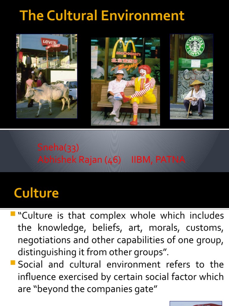 Understanding Cultural Environment in Marketing | PDF | Communication ...