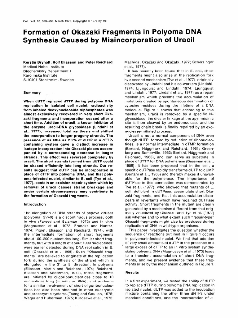 Okazaki Fragments Polyoma | PDF | Biosynthesis | Dna