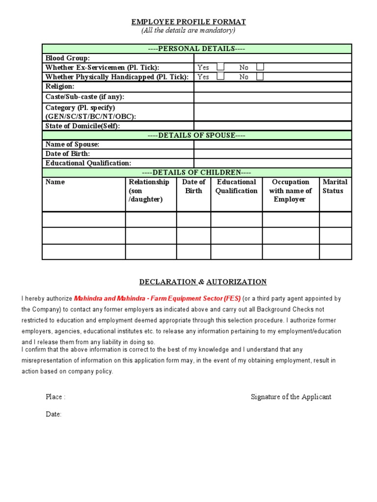 Employee Profile Application Form | PDF