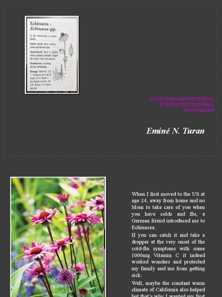 Echinacea Angustifolia Monograph | PDF | Medicine | Immunology