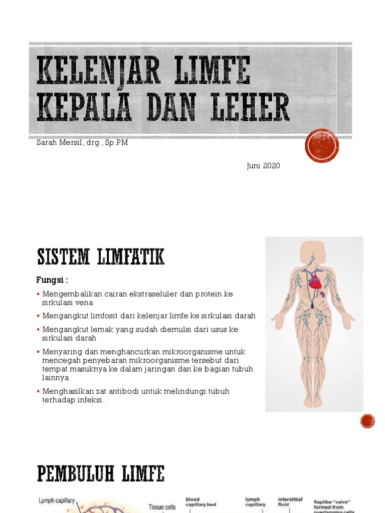 PPT Kelenjar Limfe Kepala Dan Leher | PDF