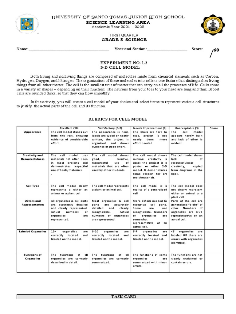 3D Cell Model Project Guidelines | PDF | Cell (Biology) | Endoplasmic ...