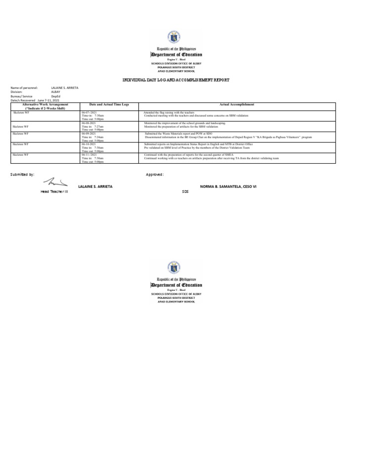 Individual Daiy Log and Accomplishment Report: Lalaine S. Arrieta Norma ...