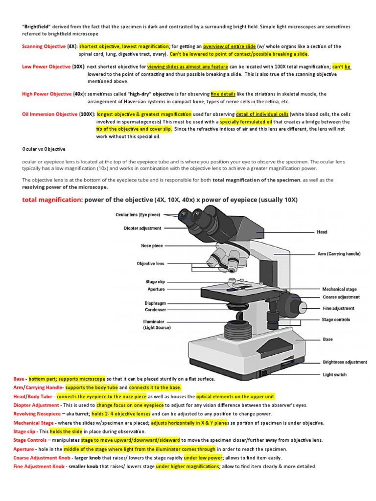 Micropara Lab Notes | PDF | Bacteria | Microbiology