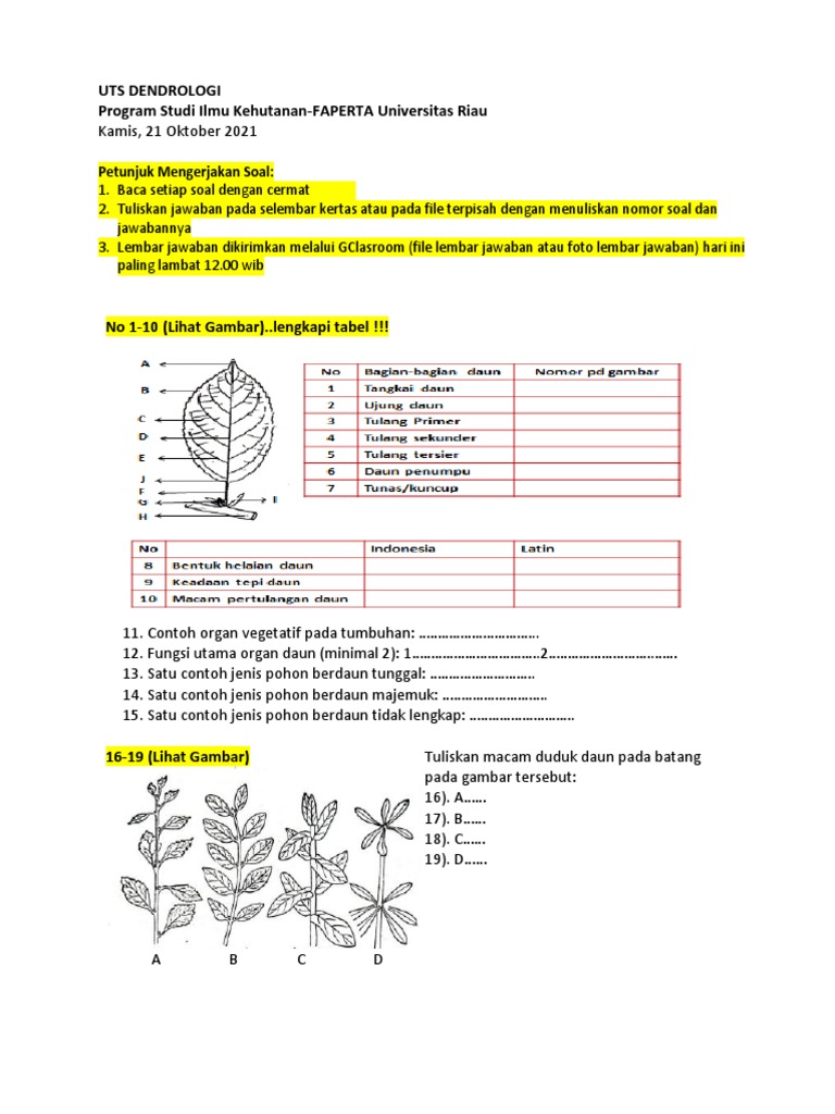 UTS Dendrologi-21Okt2021 | PDF | Seni