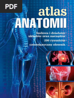Netter PL Atlas Anatomii Człowieka Netter 6 | PDF