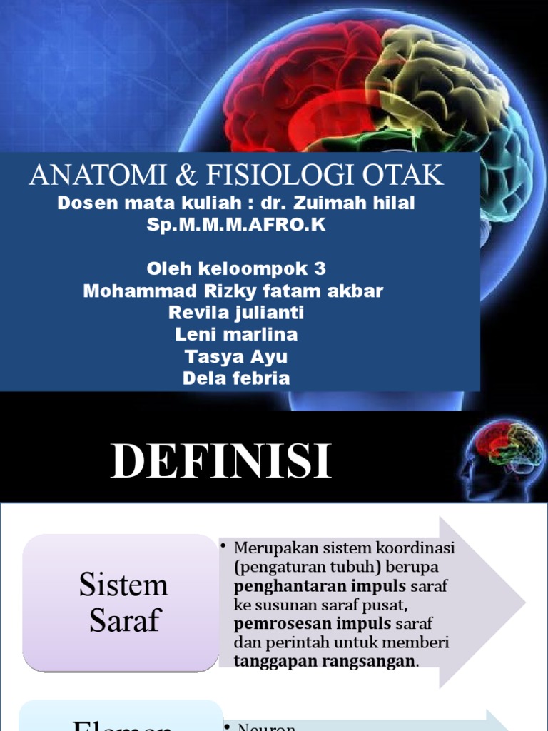 PPT Anatomi Otak | PDF | Pengembangan Diri | Kesehatan Holistik