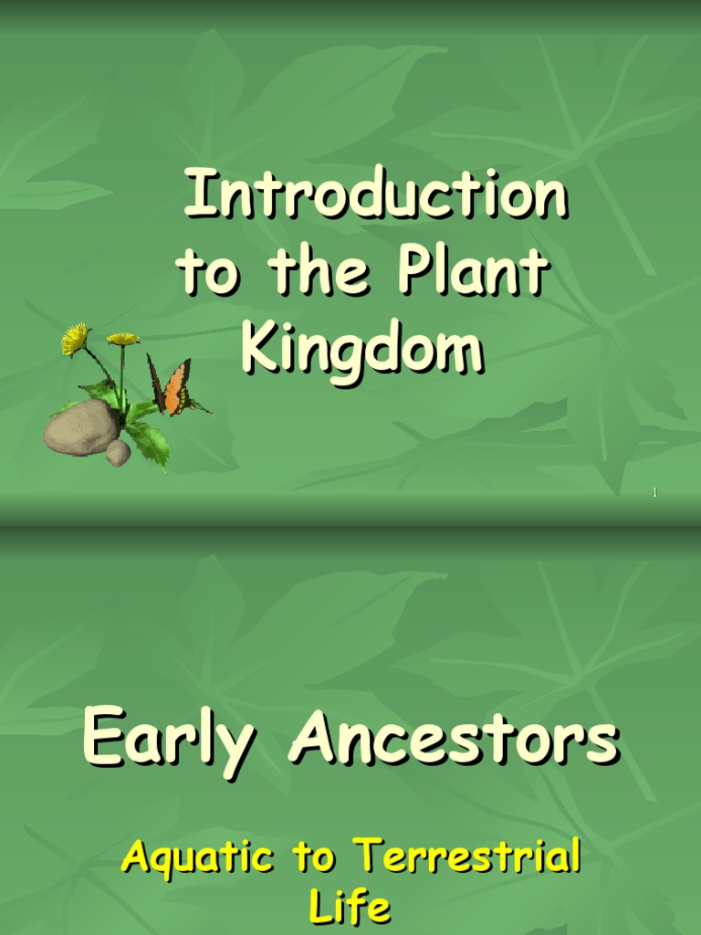 Introduction To Plants | PDF | Plants | Botany