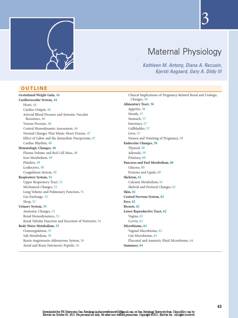 Maternal Physiology | PDF | Blood Pressure | Pregnancy