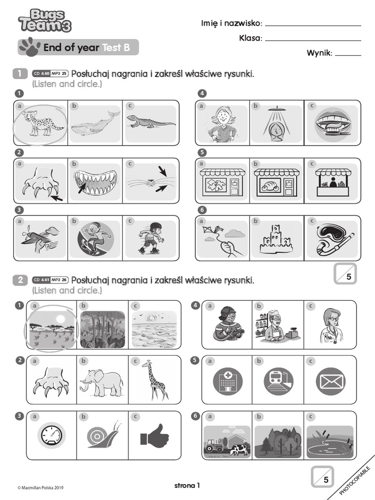 End of Year Test B Bugs Team 3 | PDF