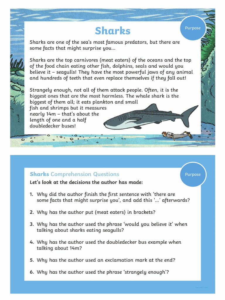 Reading Comprehension Skills | PDF