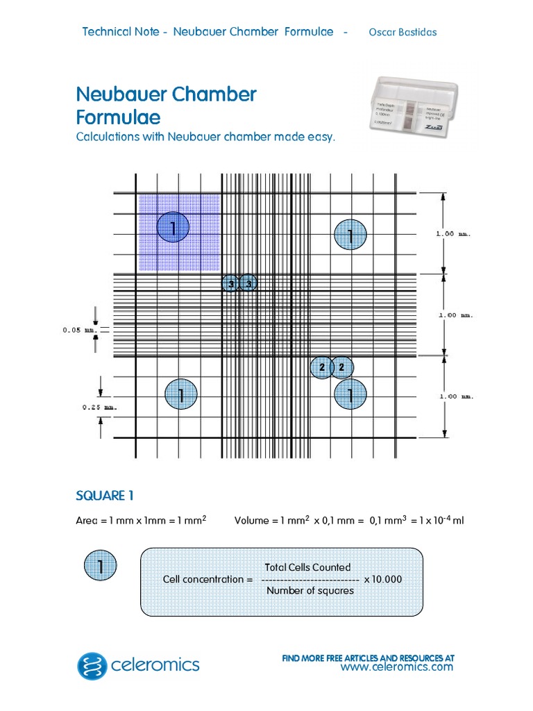 Neubauer Chamber Formula Guide | PDF | Teaching Methods & Materials